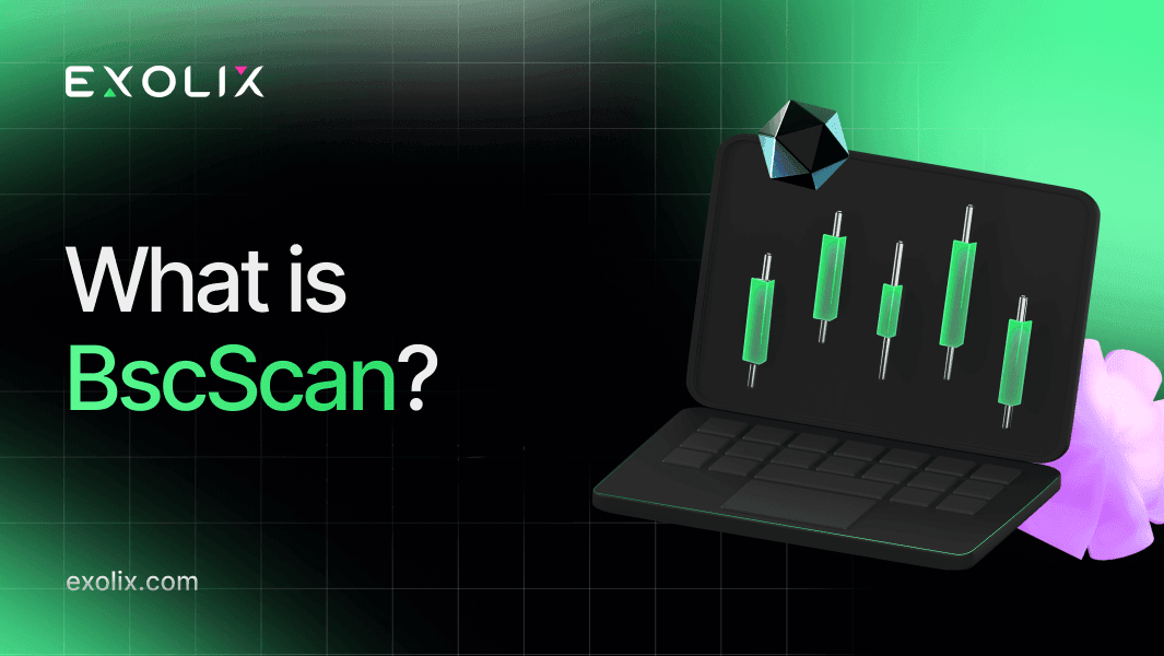 What is BscScan and How To Use It? Full Guide