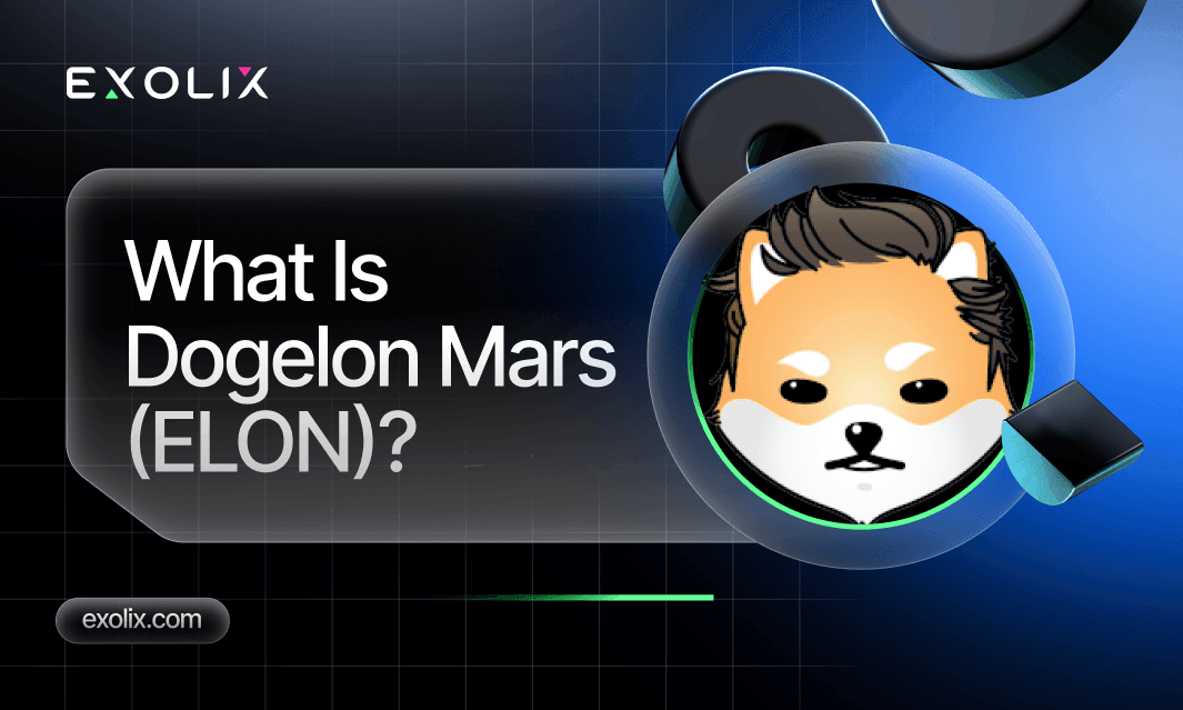 Dogelon Mars (ELON): What Is It?