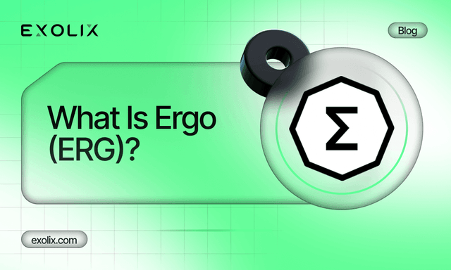What Is Ergo (ERG)?