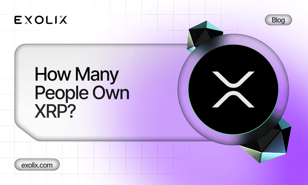 How Many People Own XRP? XRP Rich List 2025