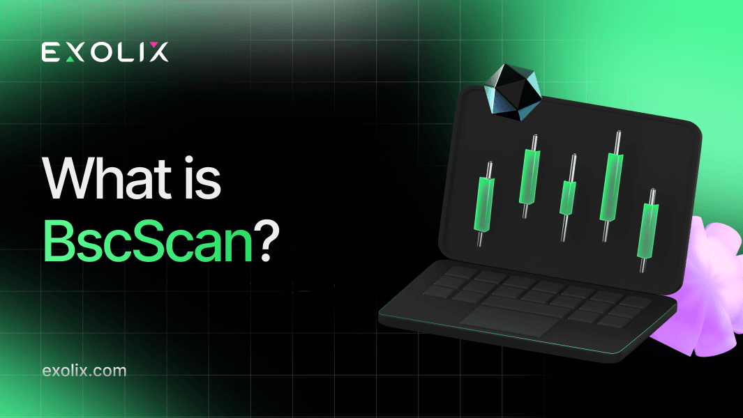 What is BscScan and How To Use It? Full Guide