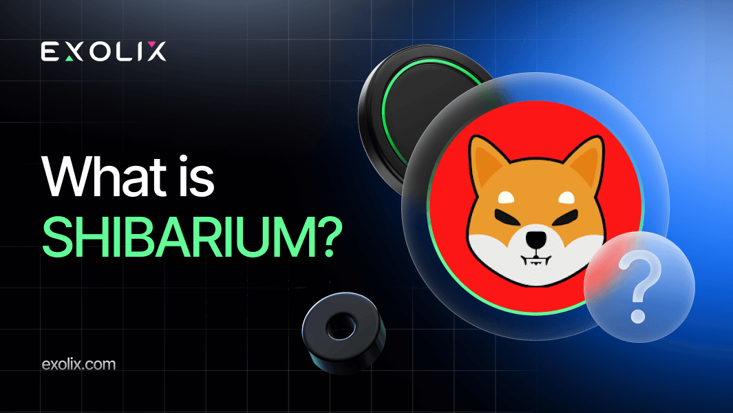 What Is Shibarium? Full Guide