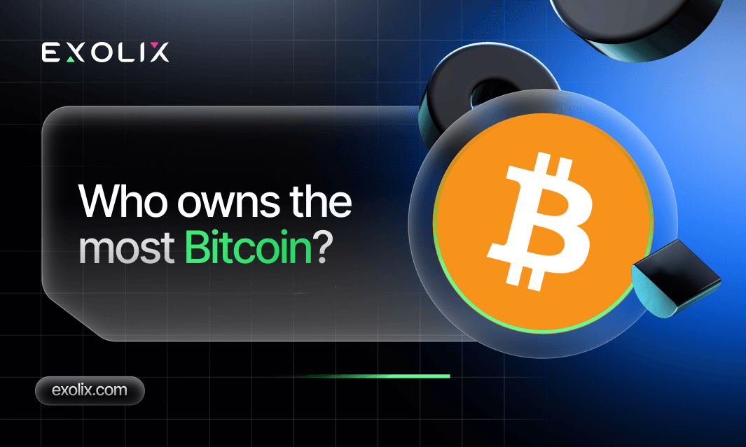 Who owns the most Bitcoin in 2025?