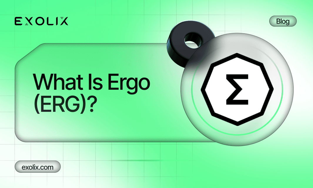 What Is Ergo (ERG)?