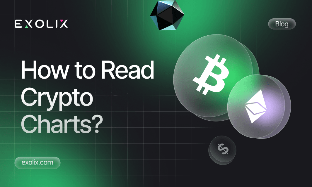 How to Read Crypto Charts?
